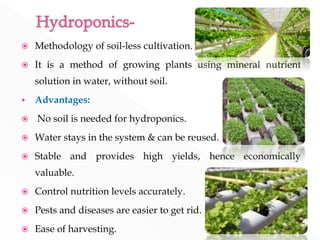 High Tech Agriculture | PPTX