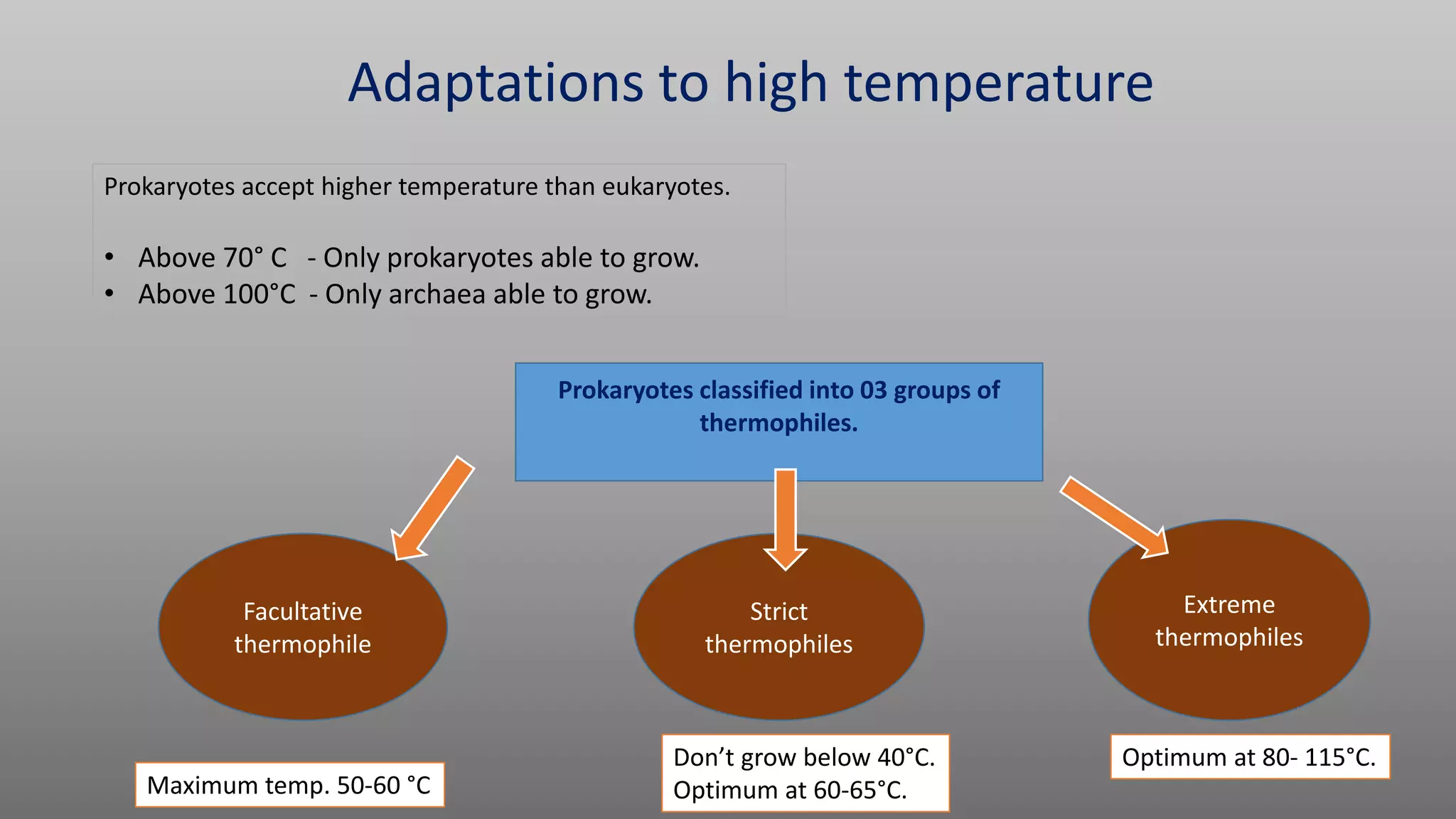 high temperature on microbes growth.pptx