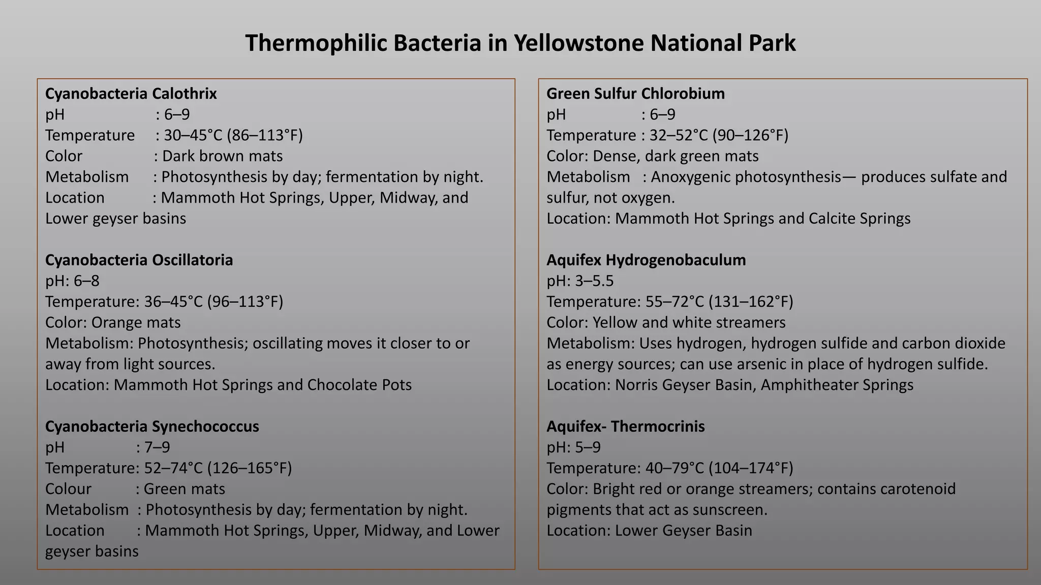 high temperature on microbes growth.pptx