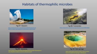 high temperature on microbes growth.pptx