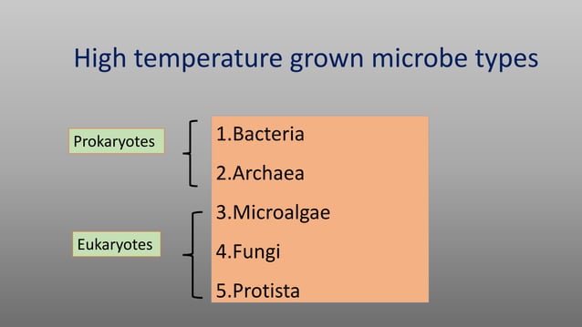 high temperature on microbes growth.pptx
