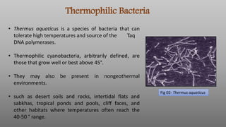 high temperature on microbes growth.pptx