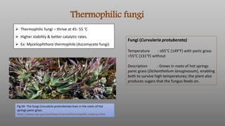 high temperature on microbes growth.pptx
