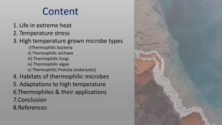 Thermophiles Examples Of Bacteria
