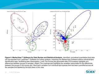 High throughput, data independent acquisition for qualitative and ...