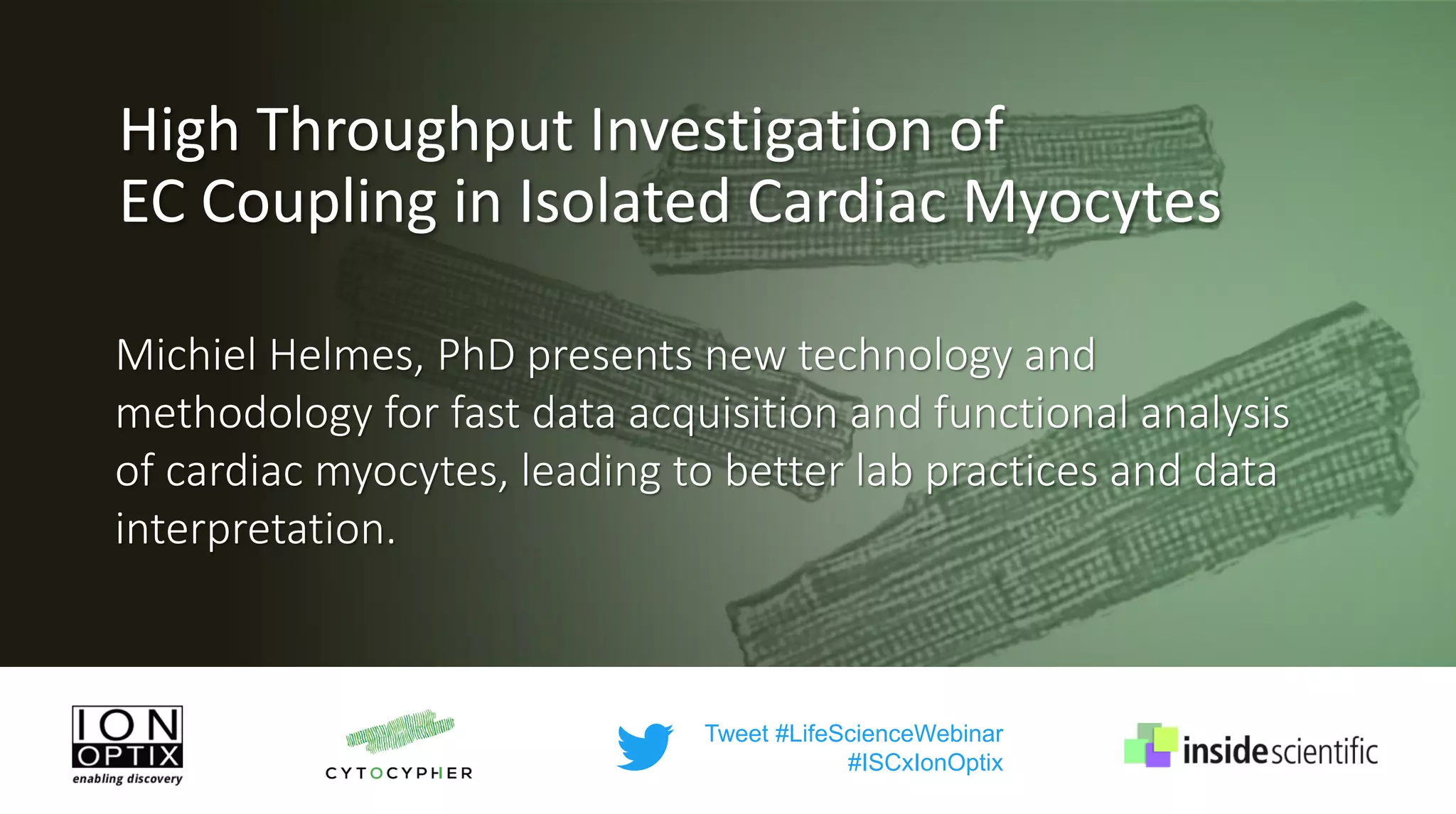 High Throughput Investigation of EC Coupling in Isolated Cardiac ...