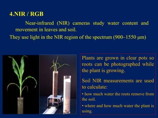 High throughput phenotyping | PPTX