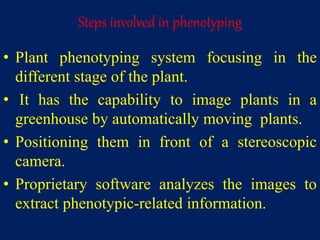 High throughput phenotyping | PPTX
