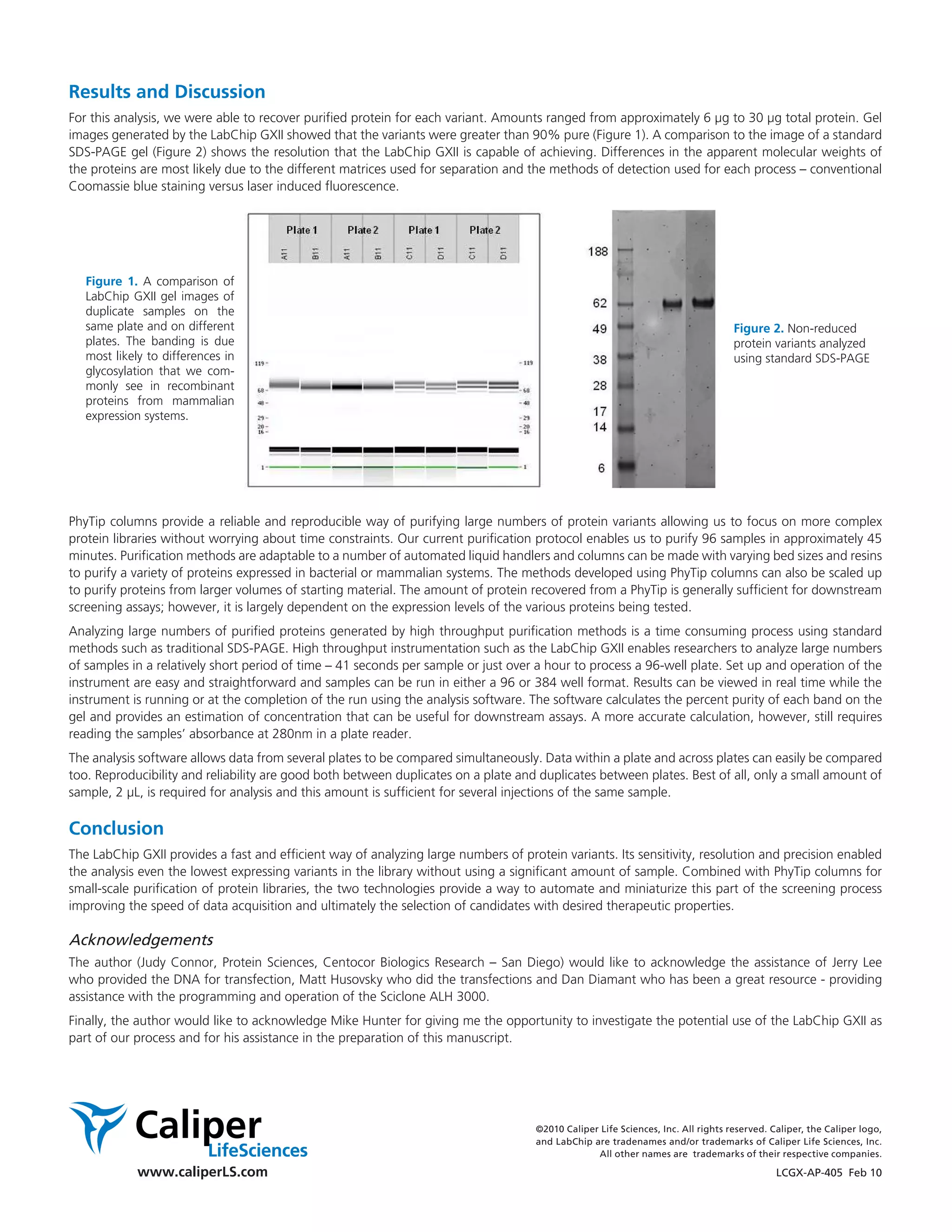 High Throughput Purification and Characterization of a Protein Variant ...
