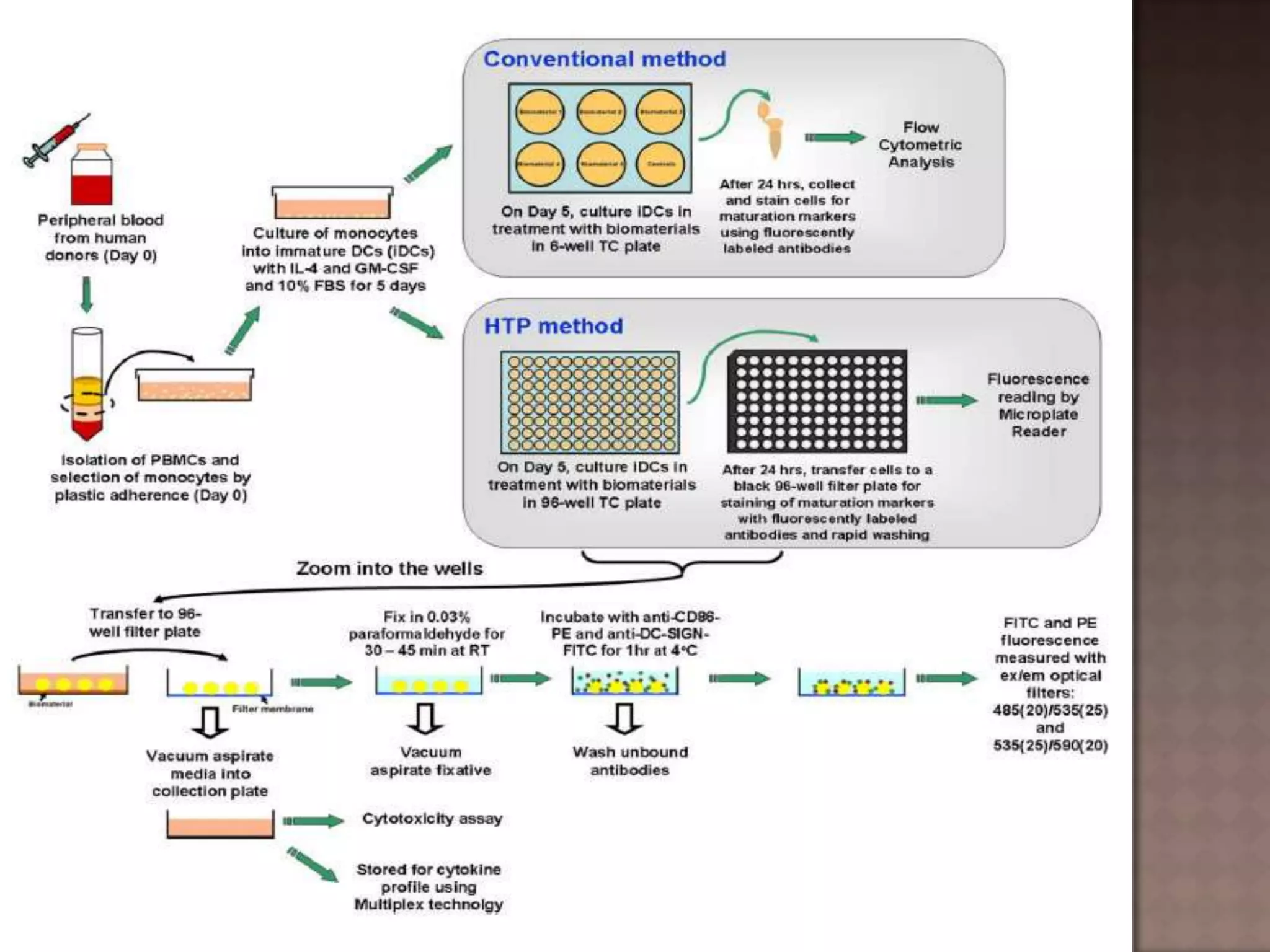High throughput screening | PPTX