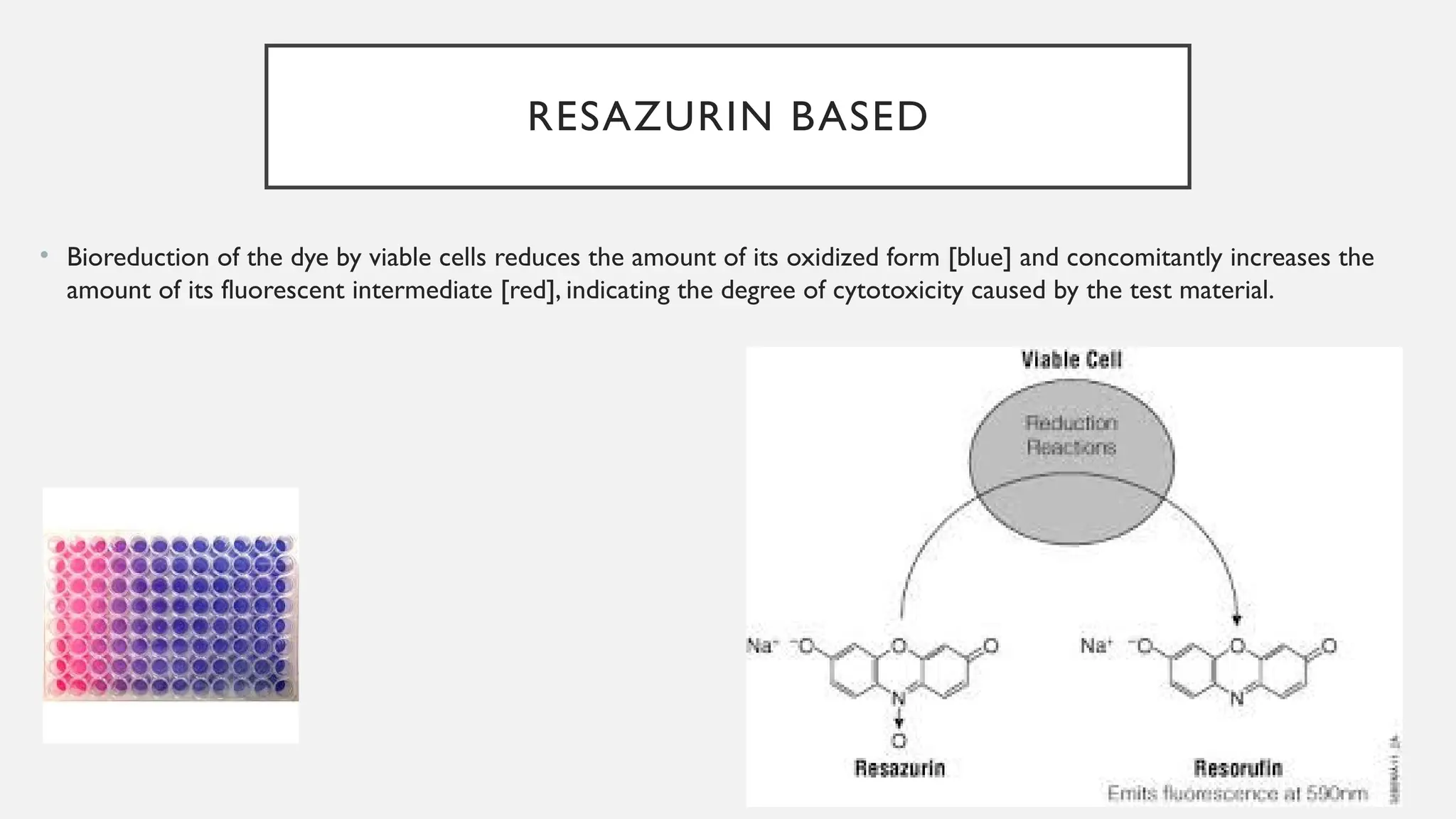 High throughput screening.pptx for pharmacy students | PPTX