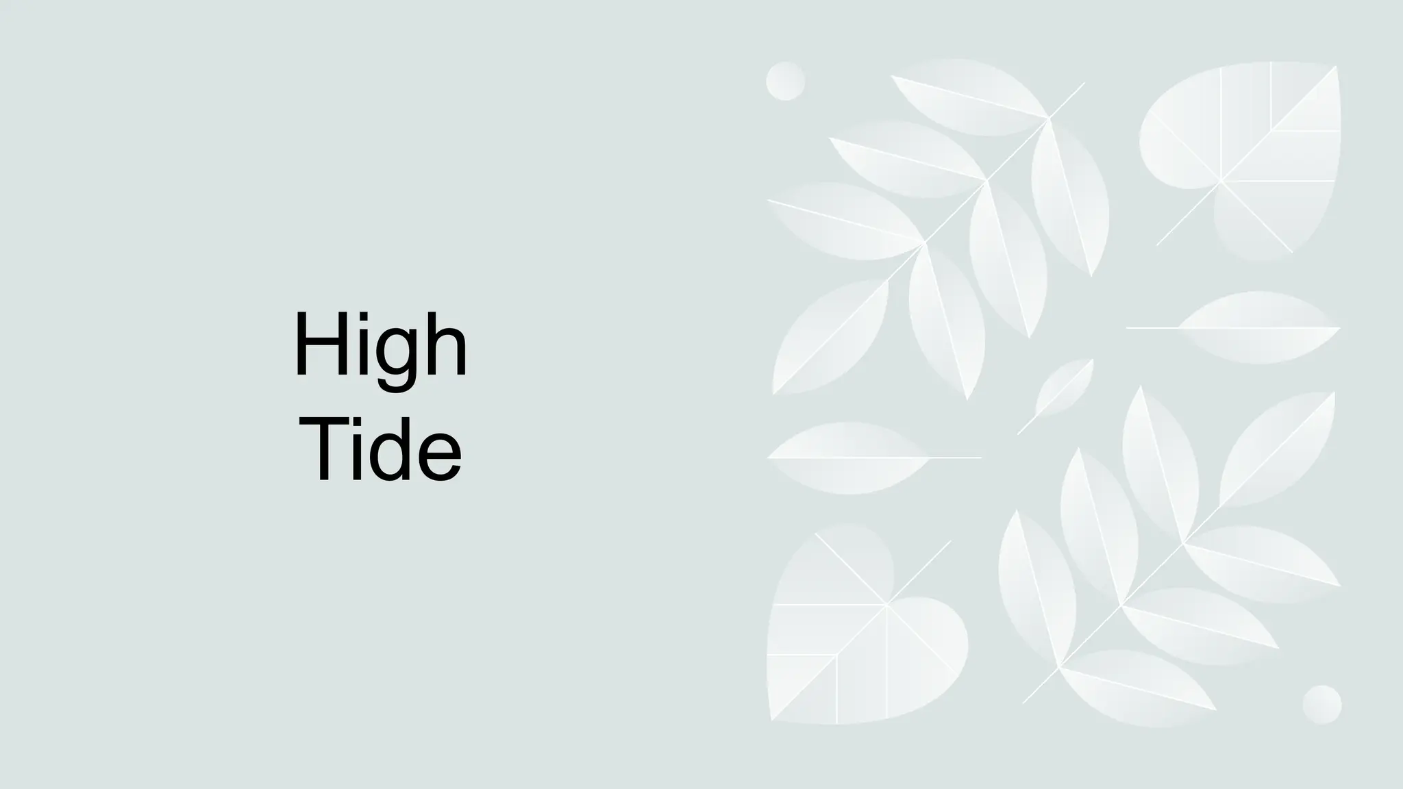 High tide presentaion on visual aid.pptx