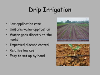 High tunnel 3 drip irrigation | PPT
