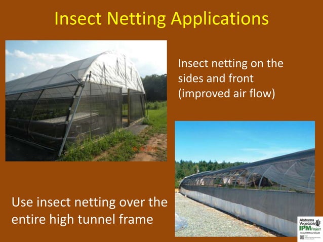 Insect Pest Management in High Tunnel (short version) | PPT