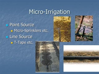 Hightunnelirrigationpdf | PDF | Agriculture | Industries
