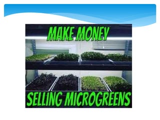 High value crops Cultivation | PPTX