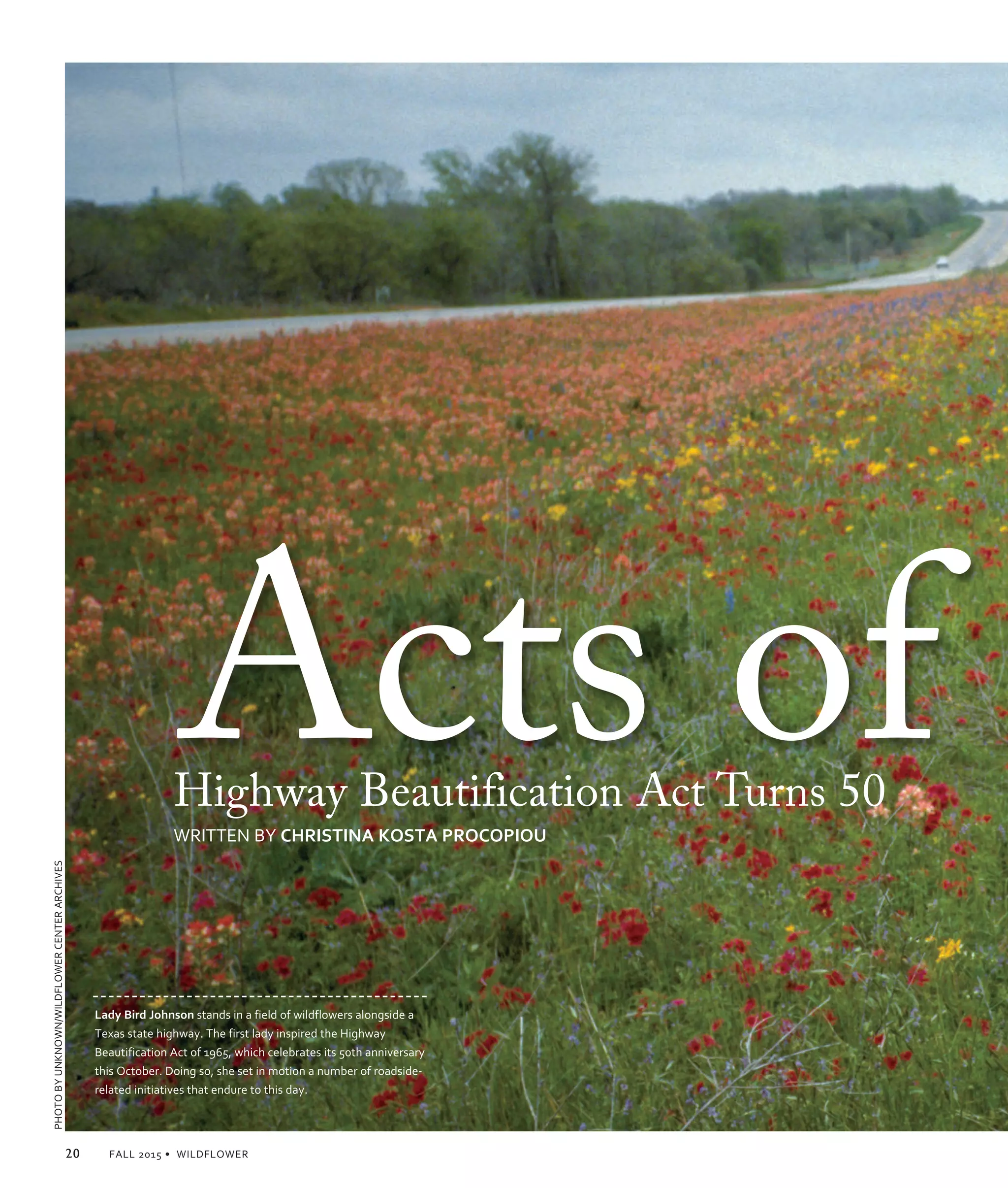 Highwaybeautificationwildflowerfl2015 | PDF | Gardening | Home & Garden