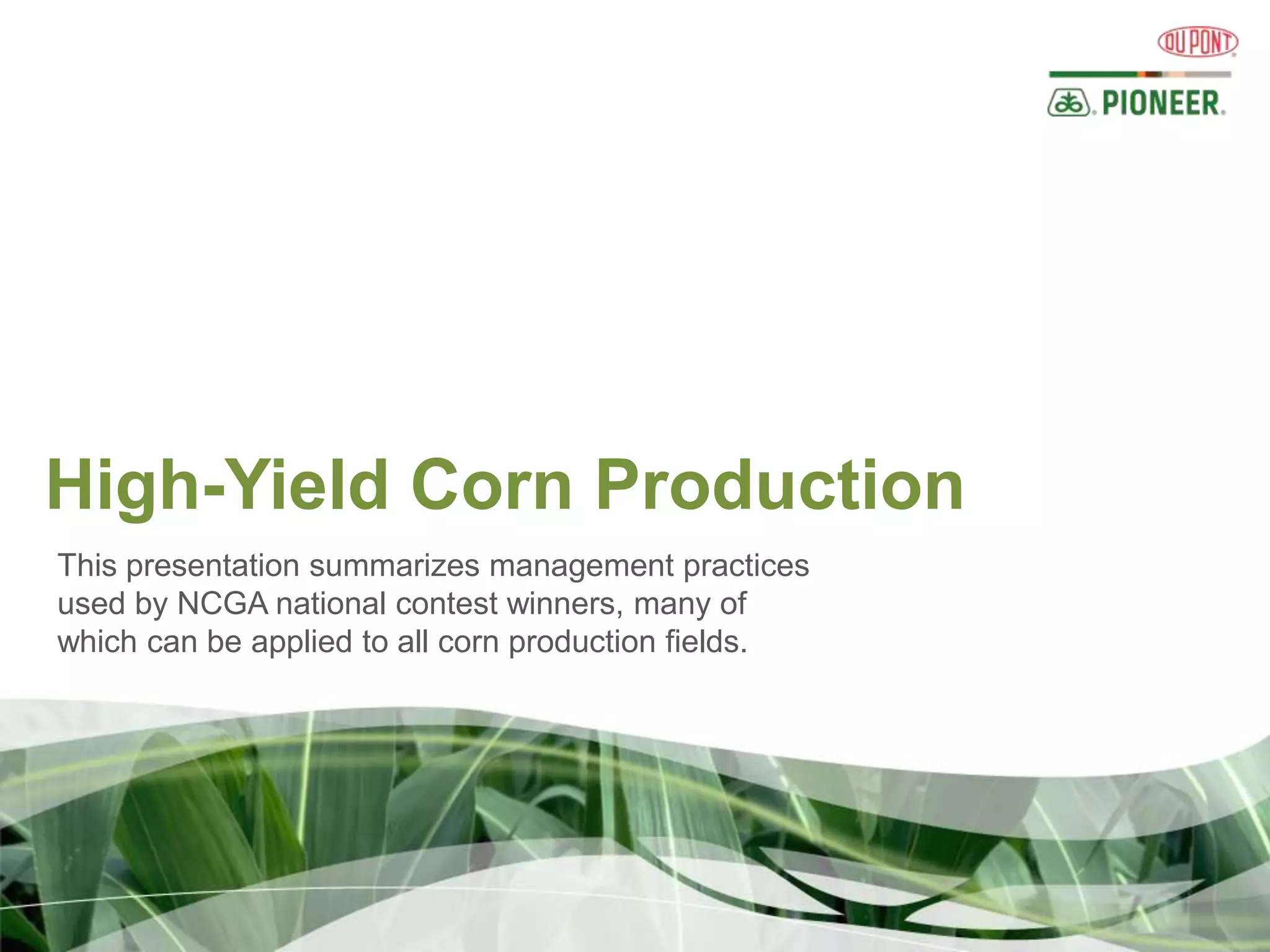 High-Yield Corn Production | PPTX