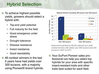 High-Yield Corn Production | PPTX