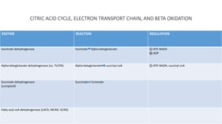 High yield enzymes for USMLE Step 1 | PPTX