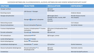 High yield enzymes for USMLE Step 1 | PPTX