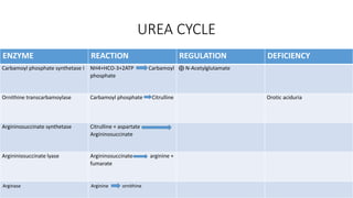 High yield enzymes for USMLE Step 1 | PPTX