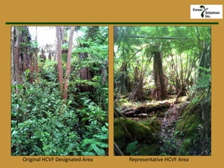 Designating and Managing High Conservation Value Forests | PPTX