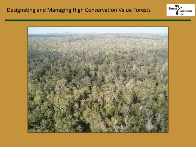 Designating and Managing High Conservation Value Forests | PPT