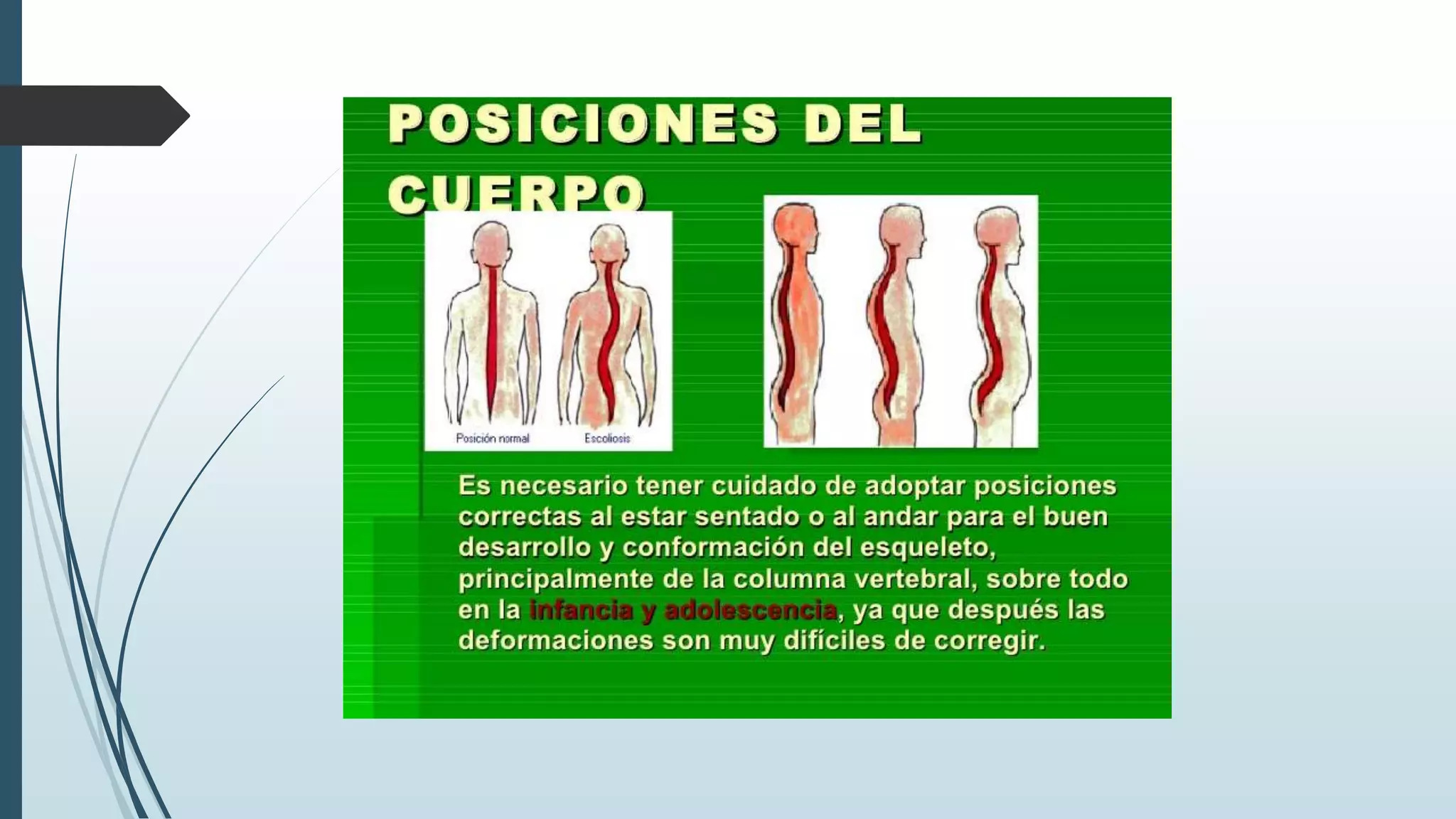 Higiene postural | PPT