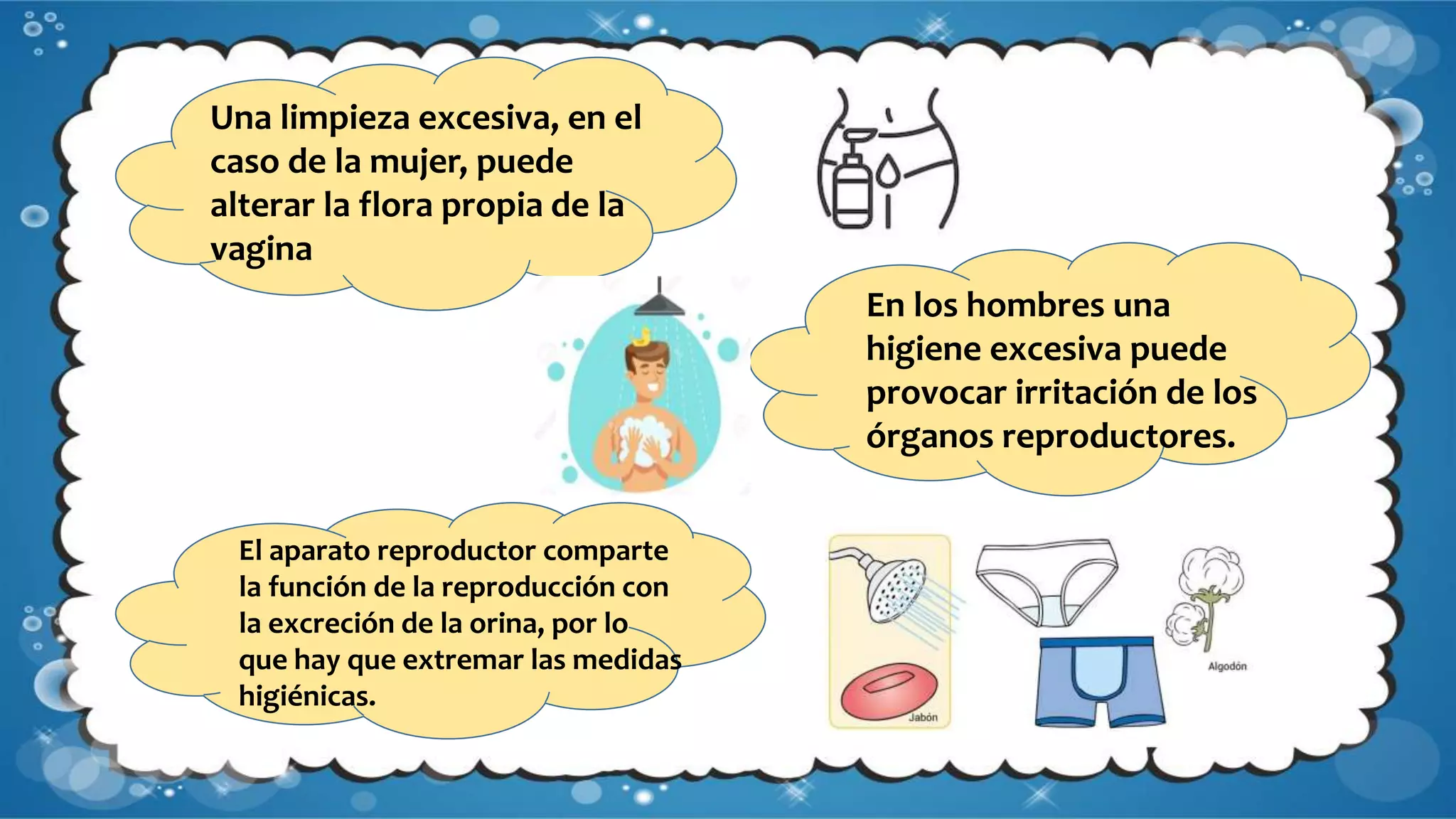 Higiene Del Aparato Reproductor Pptx