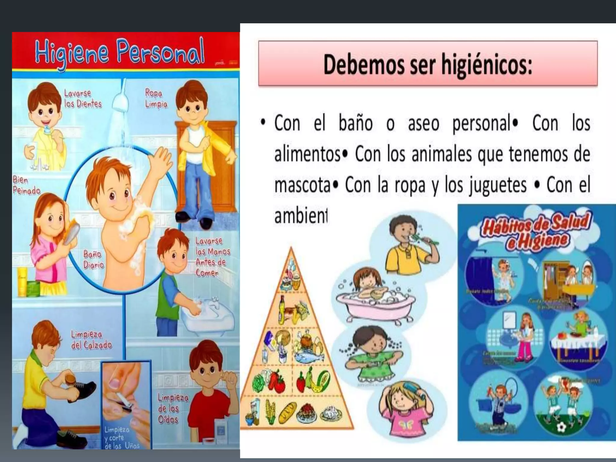 Higiene y salud | PPT