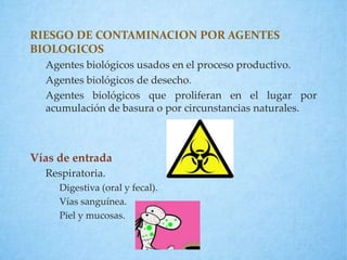 Riesgos Físicos, Químicos y Biológicos de Higiene industrial | PPTX