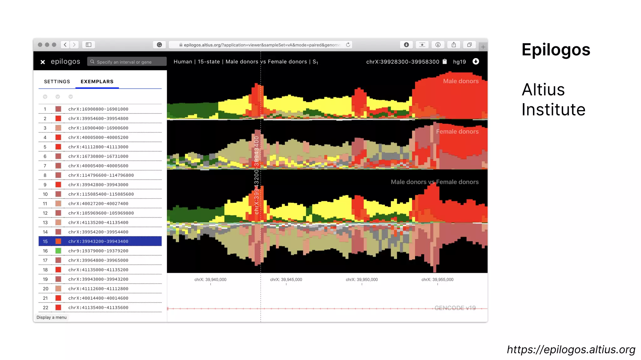HiGlass & Friends | PPT