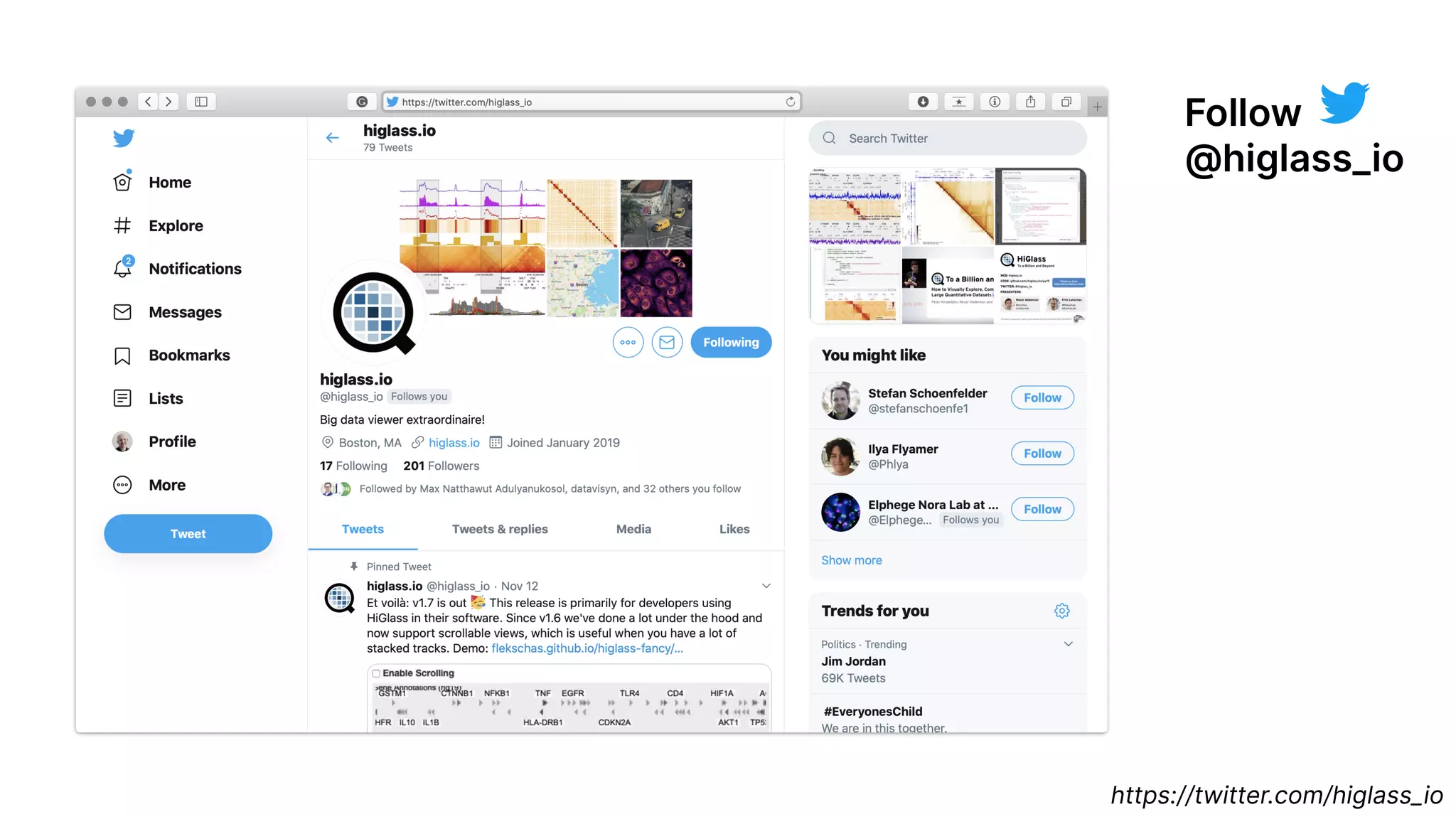 HiGlass & Friends | PPT