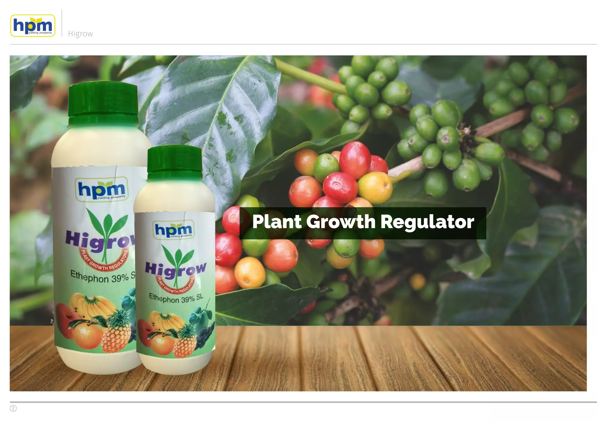 Higrow | PPT