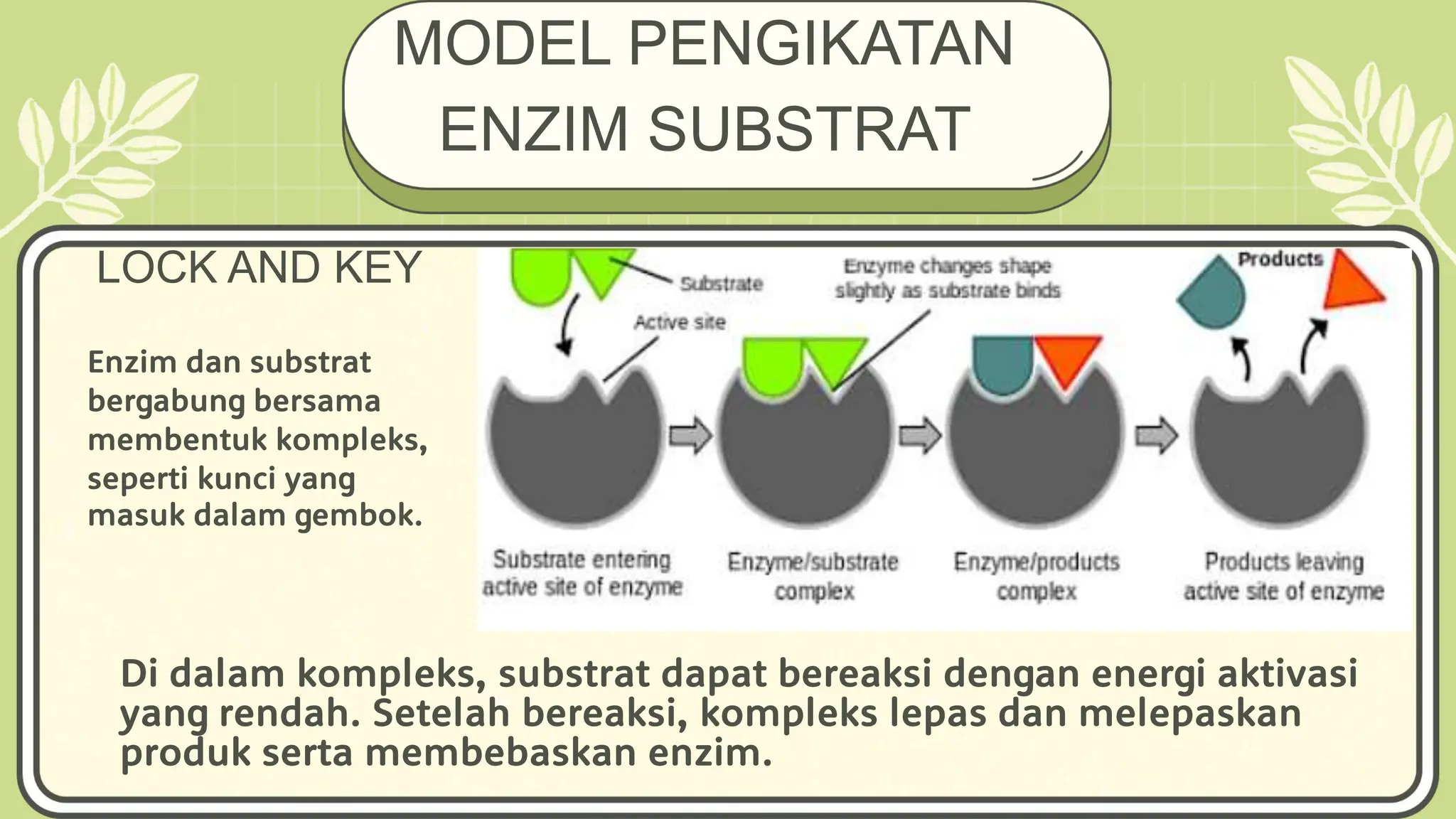Materi Enzim( klasifikasi,karakteristik).pptx