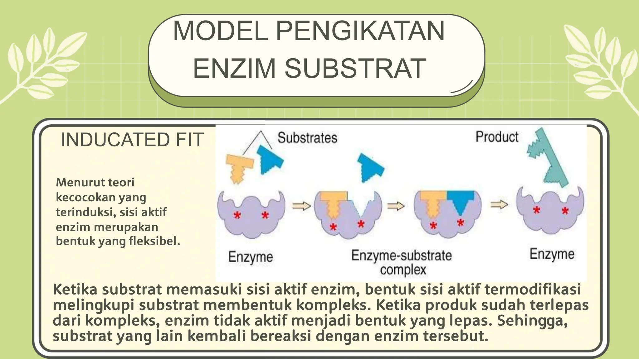Materi Enzim( klasifikasi,karakteristik).pptx