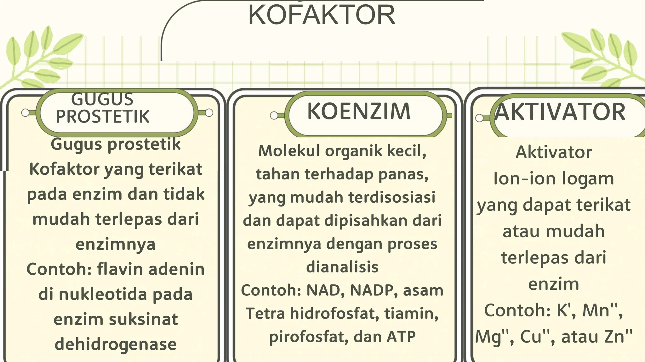 Materi Enzim( klasifikasi,karakteristik).pptx