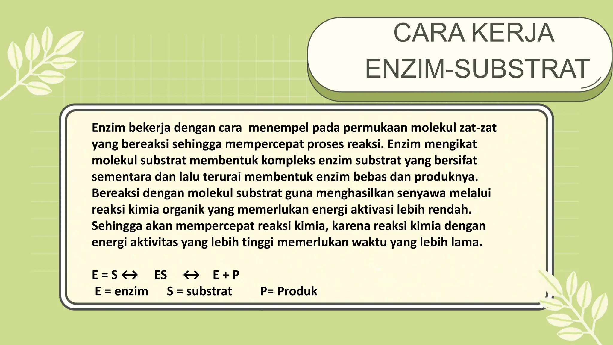 Materi Enzim( klasifikasi,karakteristik).pptx