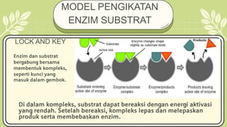 Materi Enzim( klasifikasi,karakteristik).pptx