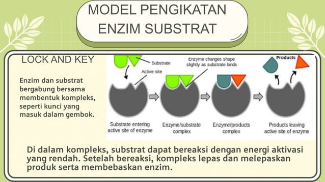 Materi Enzim( klasifikasi,karakteristik).pptx