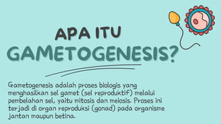 Materi Gametogenesis : Proses Pembentukan sel telur pada perempuan | PDF