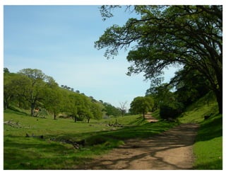 Hike 34 Presentation | PDF