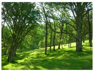 Hike 34 Presentation | PDF