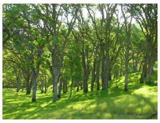 Hike 34 Presentation | PDF