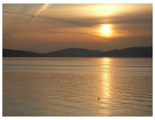 Hike 36 Presentation | PDF