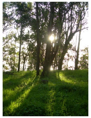 Hike 36 Presentation | PDF