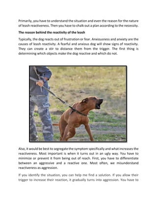 Hiking with a Leash Reactive Dog.docx
