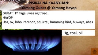 Hilagang America | PPTX