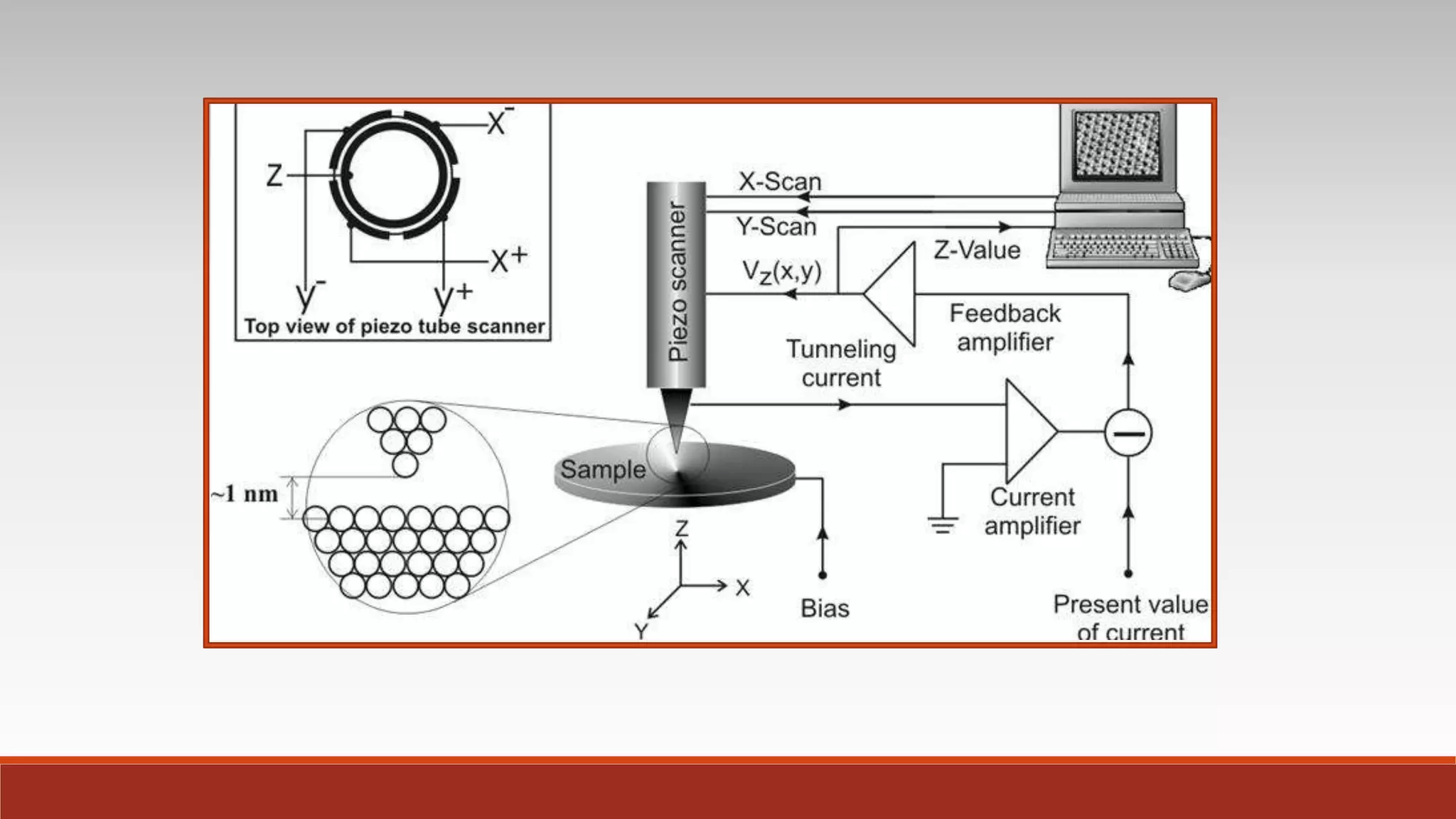 Scanning Tunneling Microscope | PPTX